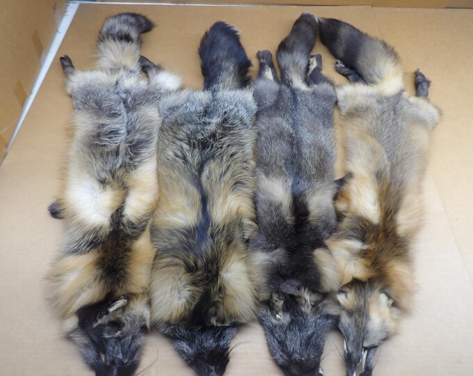 Professionally Tanned Cross Fox Hide Damage Grade/pelt/nicely Furred - Etsy