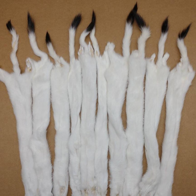 Ermine - Etsy