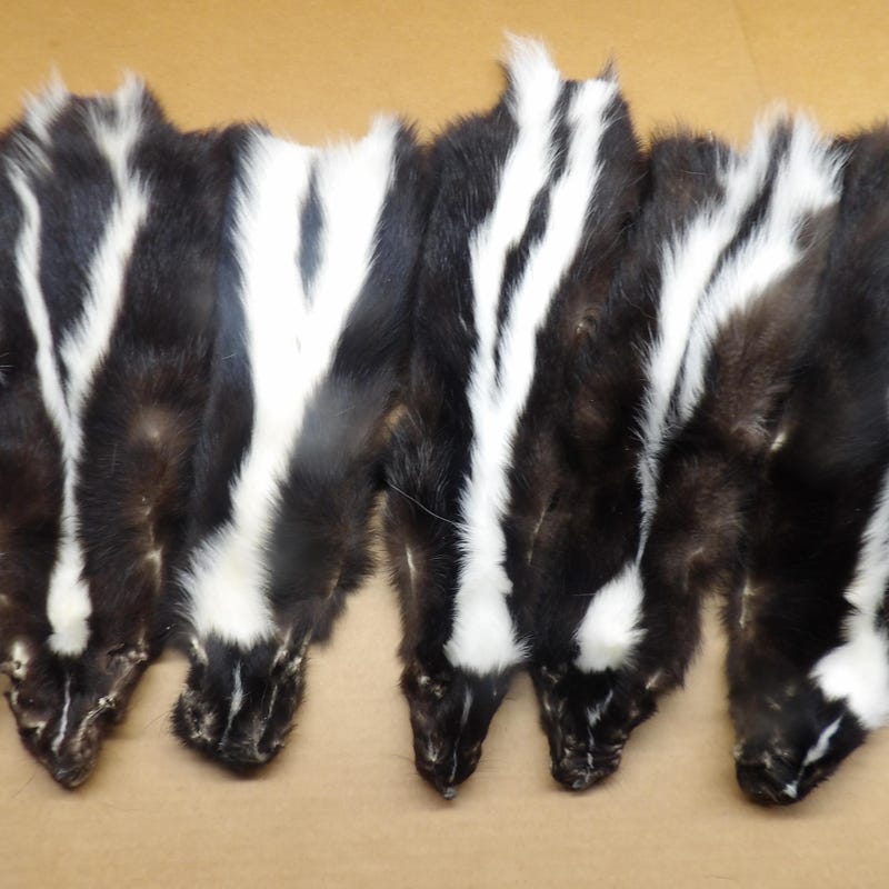 Skunk Tail - Etsy