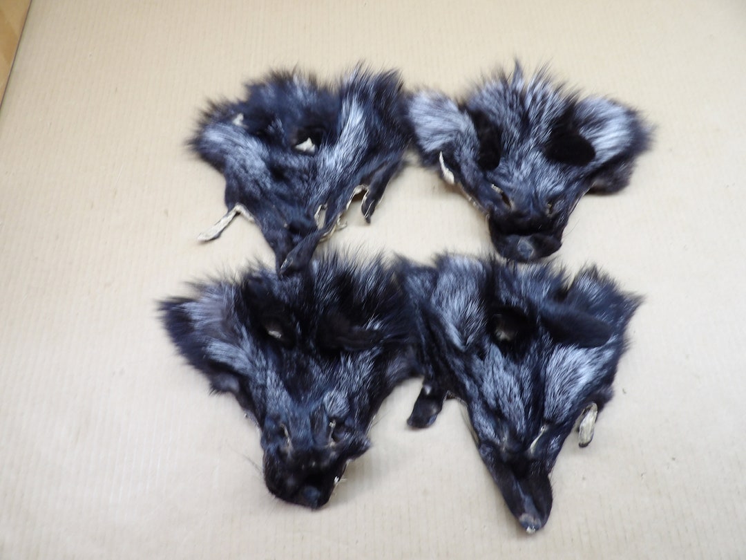 Tanned Silver Fox Face/real Fur/craft Fur - Etsy