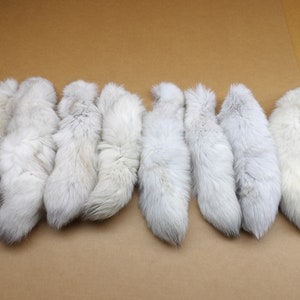 XL Blue Fox Tail/professionally Soft Tanned/real Fur/halloween Costumes ...