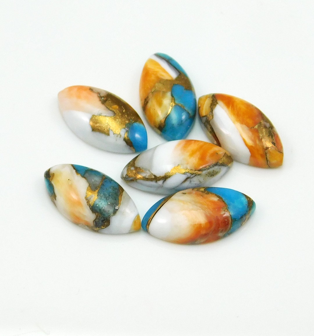 Spiny Oyster Turquoise Marquise Shape Loose Stone Smooth Polished ...