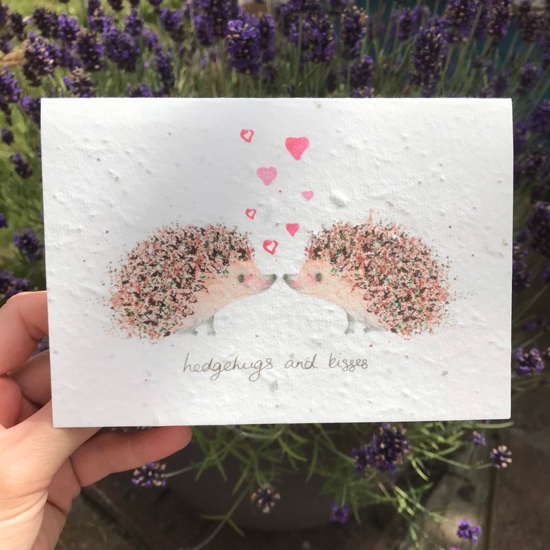 Cute Hedgehog Card. Hedgehugs and Kisses. Printed Onto Seeded - Etsy