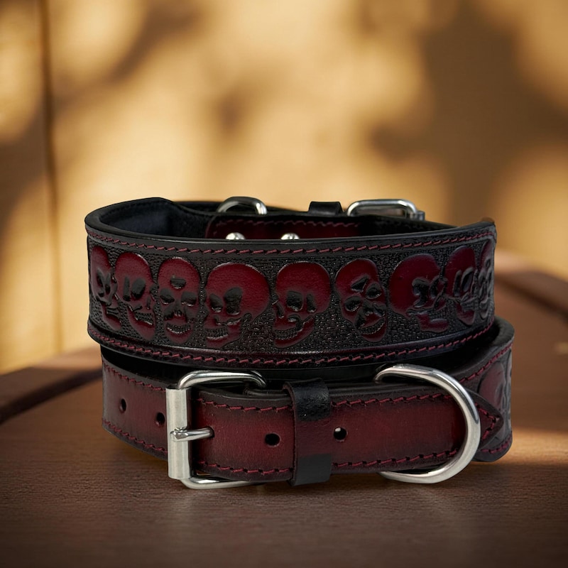 Skull Dog Collar - Etsy