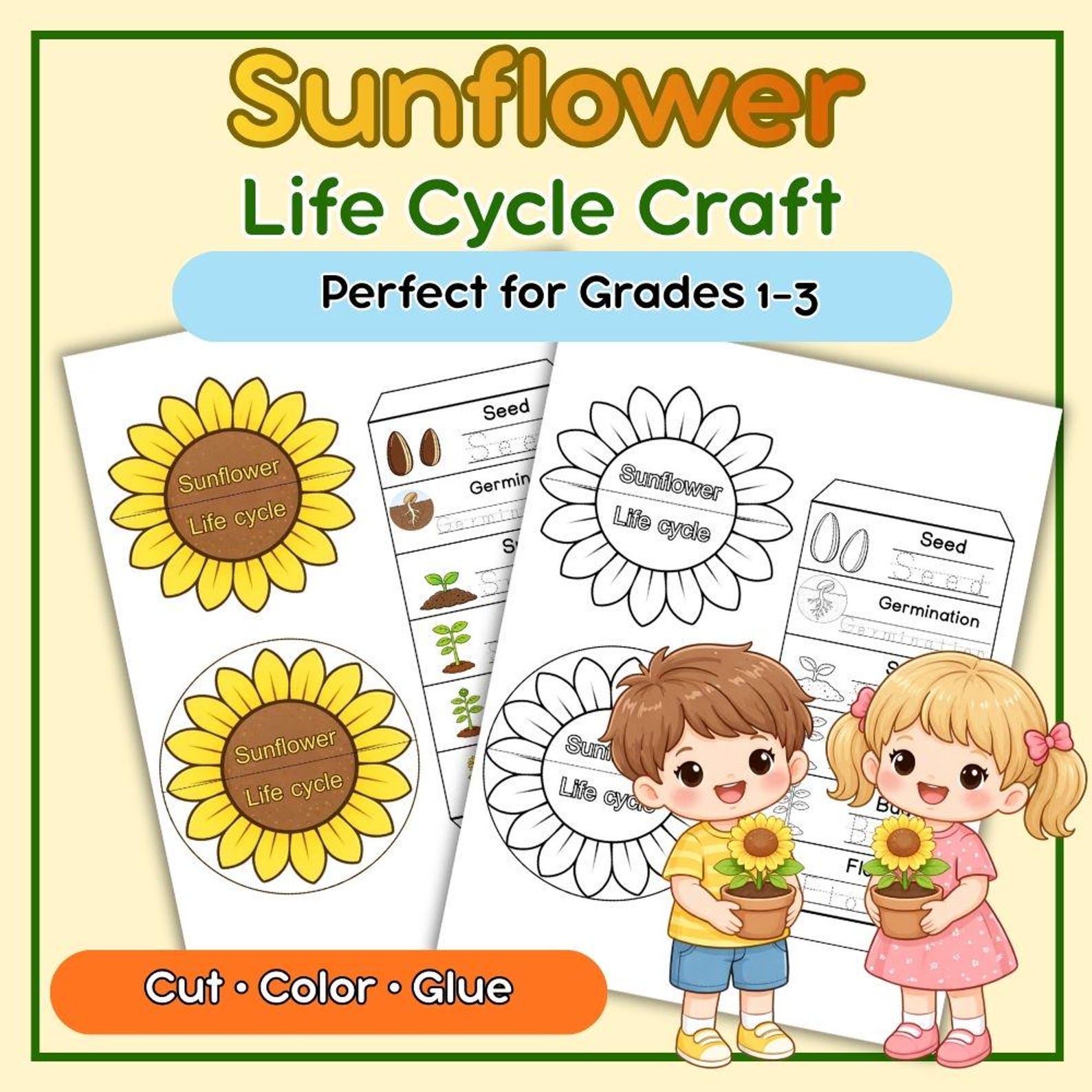 Sunflower Life Cycle Craft | Printable Flip Book | Cut and Paste ...