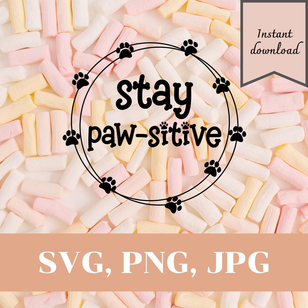 Stay Pawsitive SVG, Pet Lover SVG, Pet Lover Gift, Dog Lover Digital ...