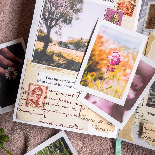 Nature Postcard - Etsy