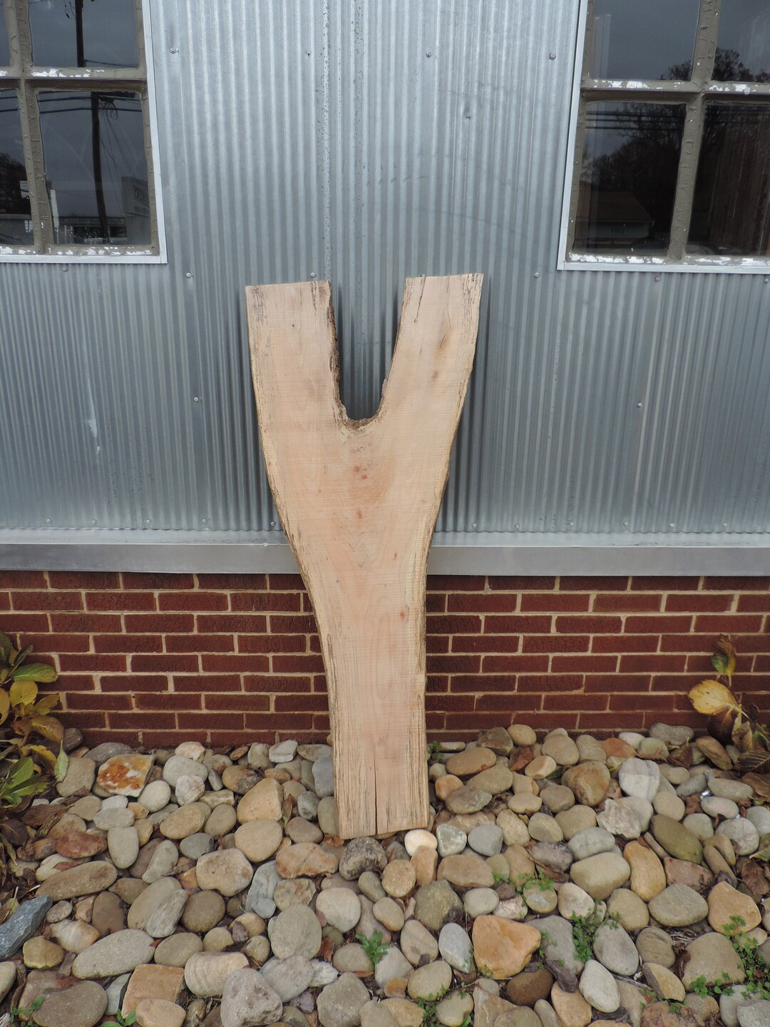 Live Edge Oak Forked Slab Wood Slab for Wall Art, Clock, or Table - Etsy