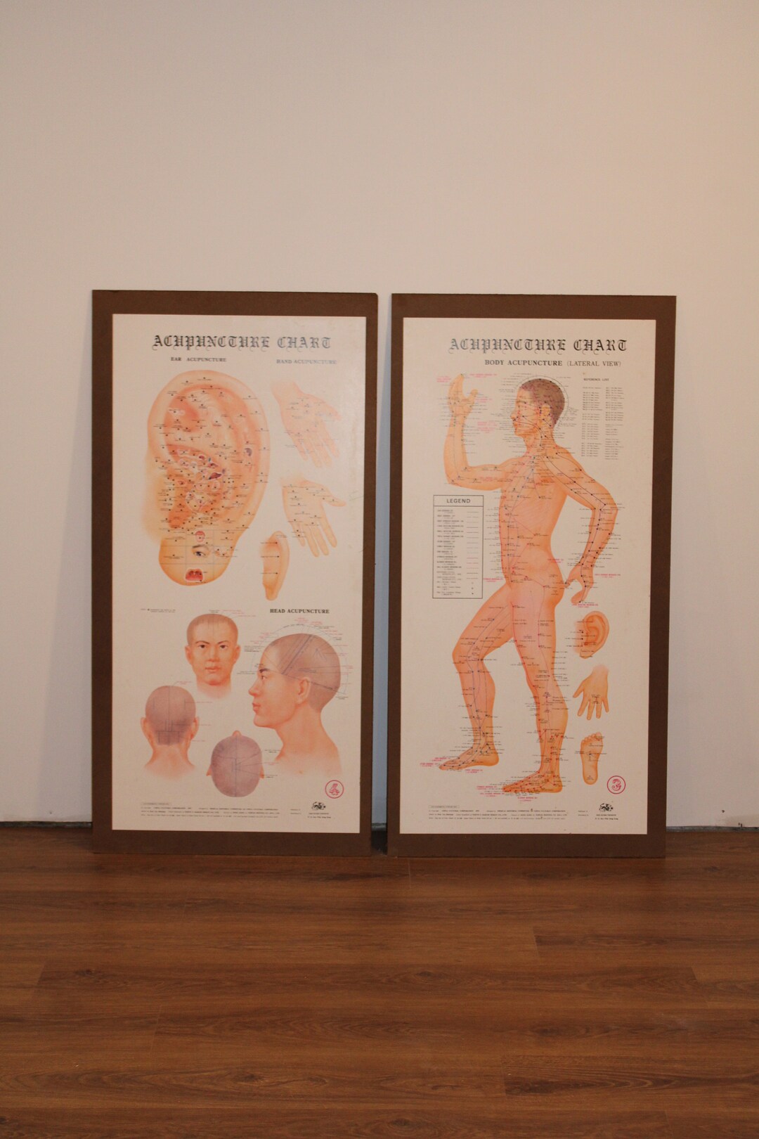 Pair of ORIGINAL Vintage Acupuncture Charts Printed in Hong Kong ...