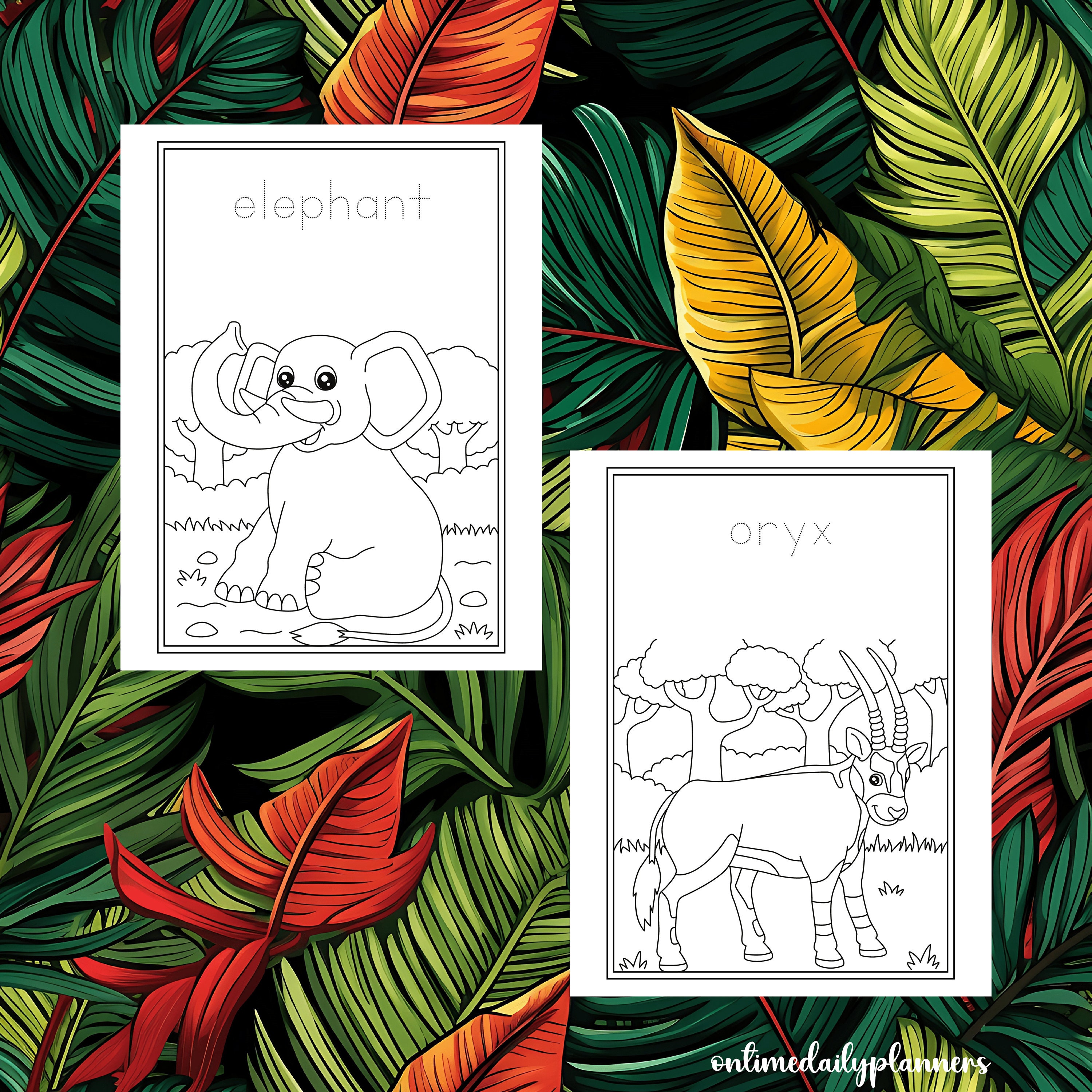 Safari Animals Coloring Book for Kids, Preschool Pre-k Kindergarten ...