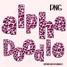 Pink Leopard Print Doodle Alphabet PNG Bundle - Etsy