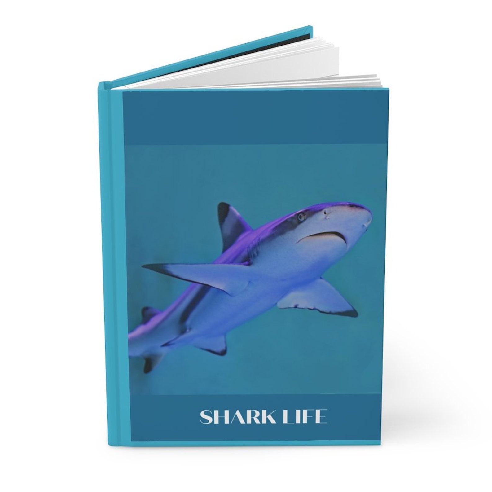 Shark Notebook Shark Stationery Gift for Shark Lovers | Etsy