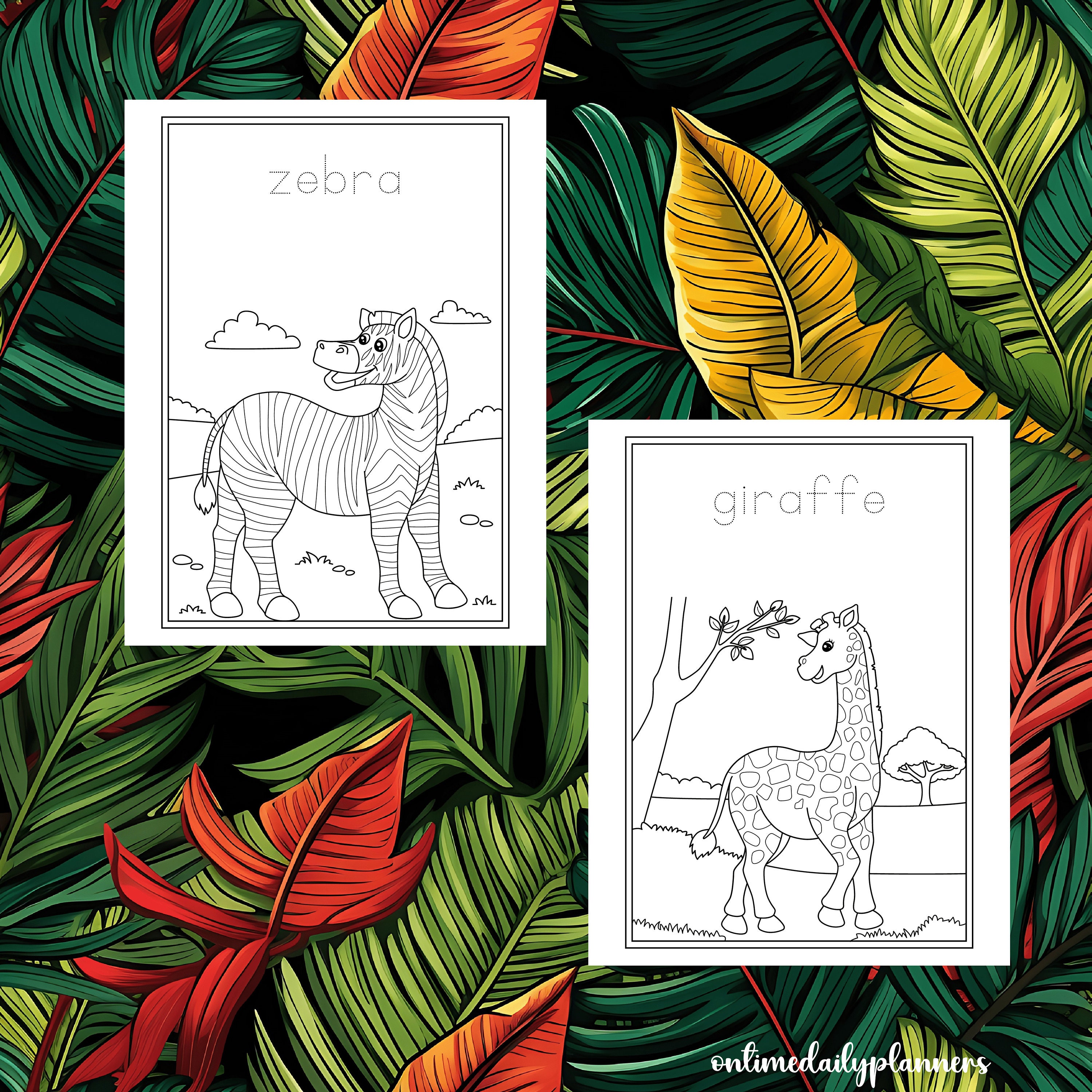 Safari Animals Coloring Book for Kids, Preschool Pre-k Kindergarten ...