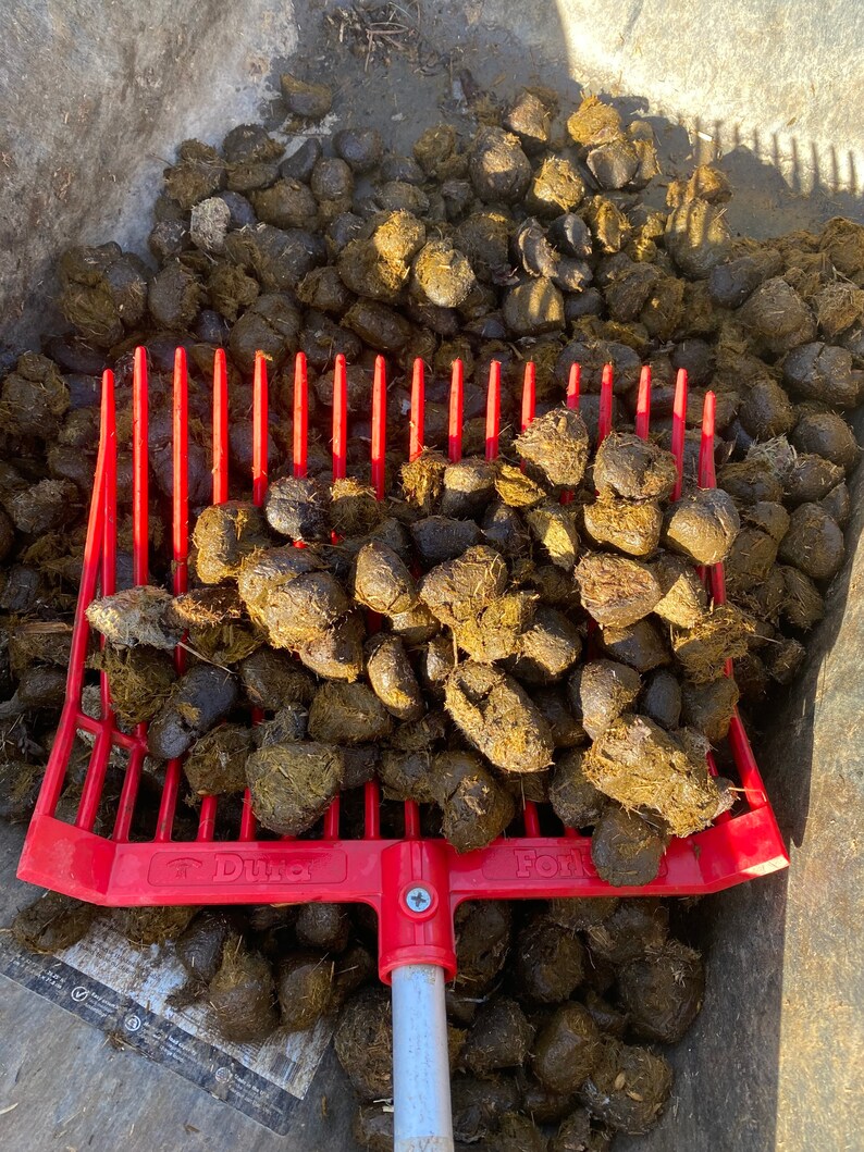 Fresh Horse Manure, Organic Fertilizer, Organic Gardening, Mushrooms ...