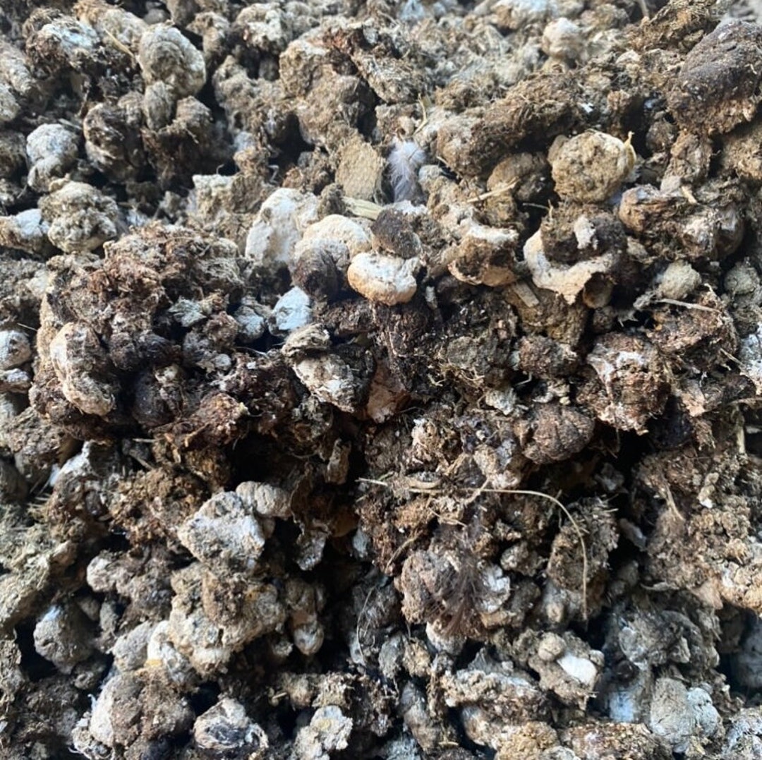 Dried Chicken Manure, Organic Fertilizer, Organic Gardening, Soil ...