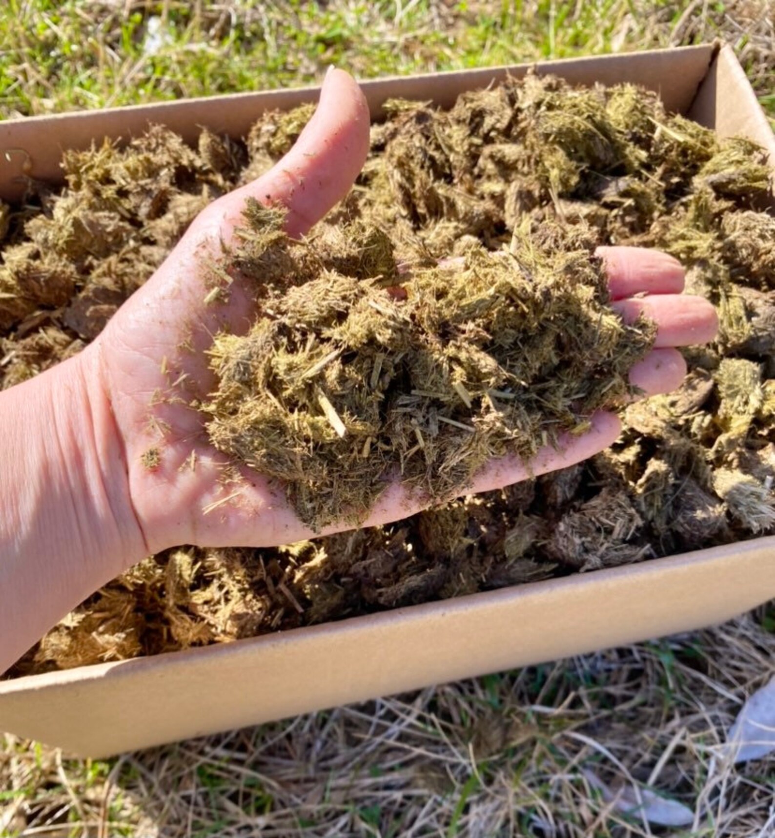 Dried Shredded Horse Manure, Organic Fertilizer, Organic Gardening ...