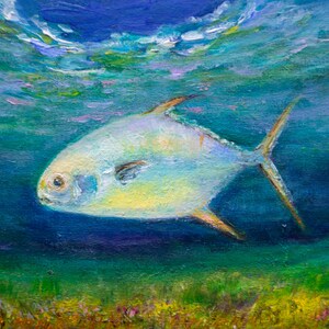 Permit Fish Painting Original Oil Canvas on Cardboard Mini - Etsy