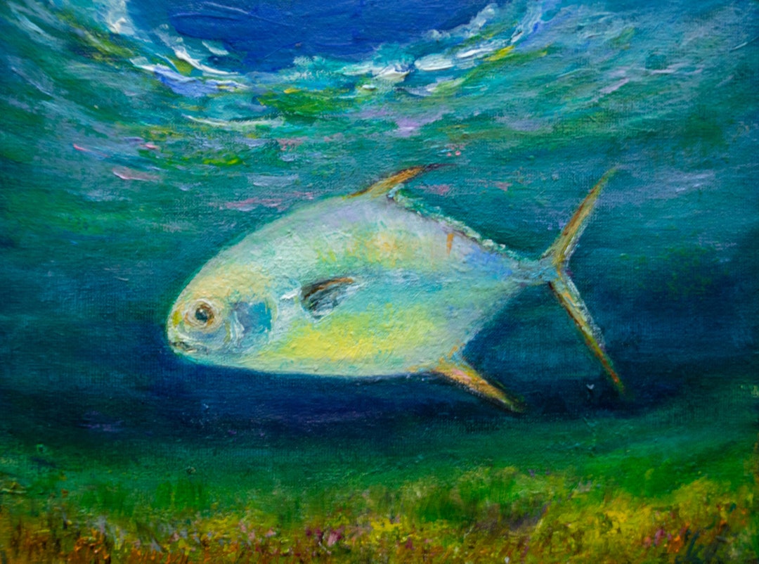 Permit Fish Painting Original Oil Canvas on Cardboard Mini - Etsy