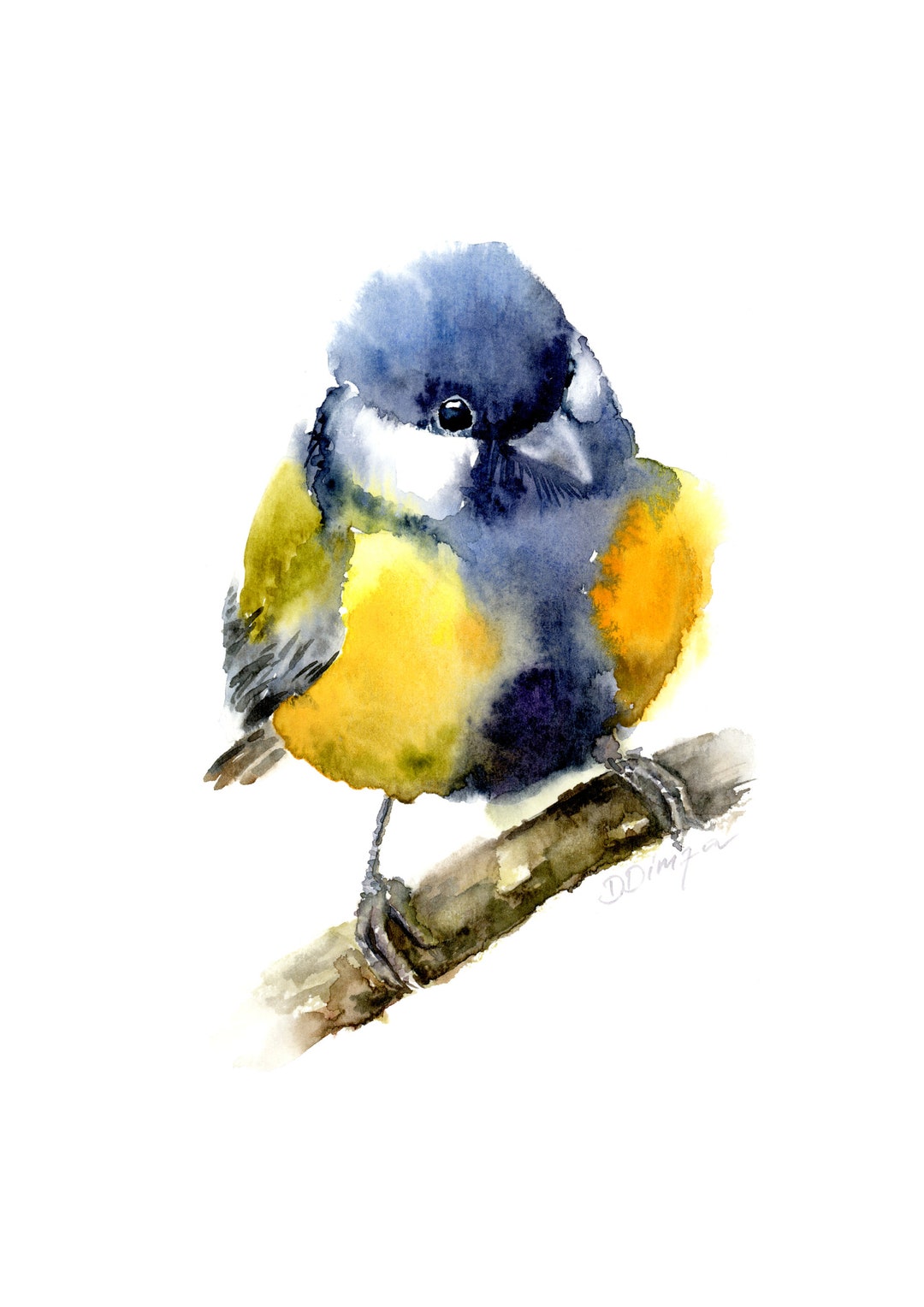 Choice of 5 Prints Bird Art From Original Watercolor Painting Tickell's ...