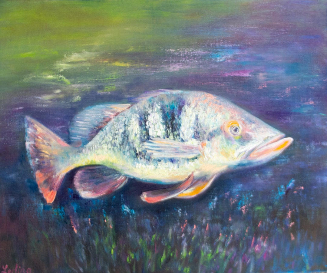 Bass Fish Painting Original Canvas Oil Underwater Colorful Bright ...