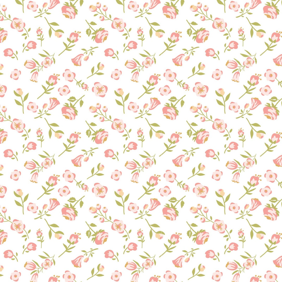 MINI MAE ~ Miniature Roses and Flowers on a White Background ~ Daisy ...