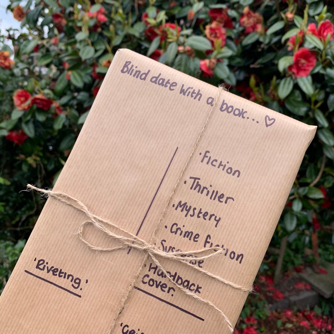 THRILLER Blind Date With a Book Blind Date Books Blind | Etsy