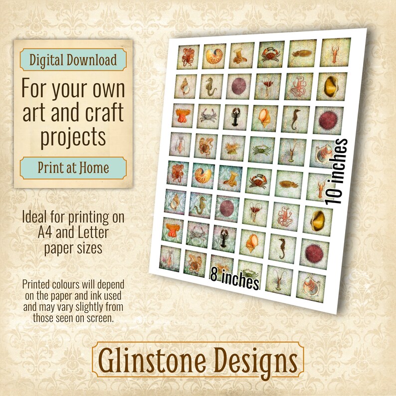 Printable 1x1 Inch Squares Collage Sheet, Sea Creatures, Vintage ...
