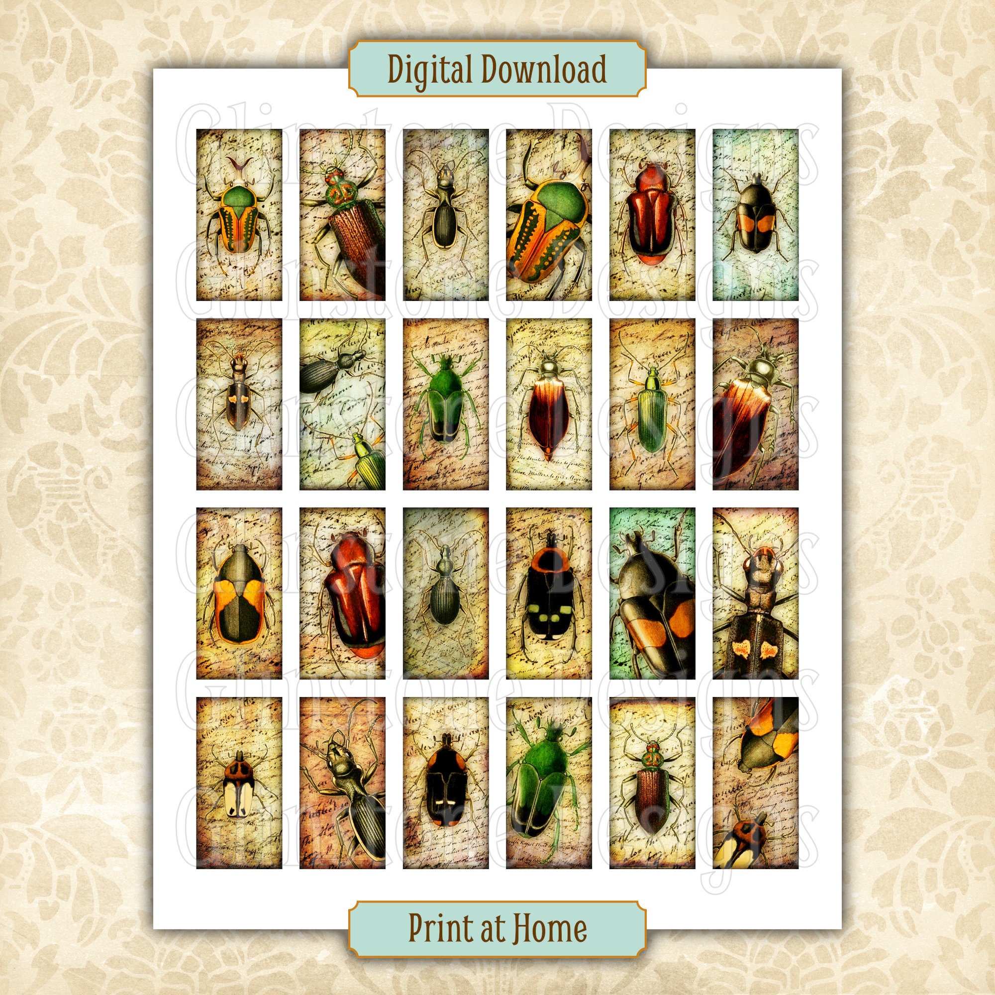 Printable Domino Collage Sheet Beetles Insects Vintage - Etsy