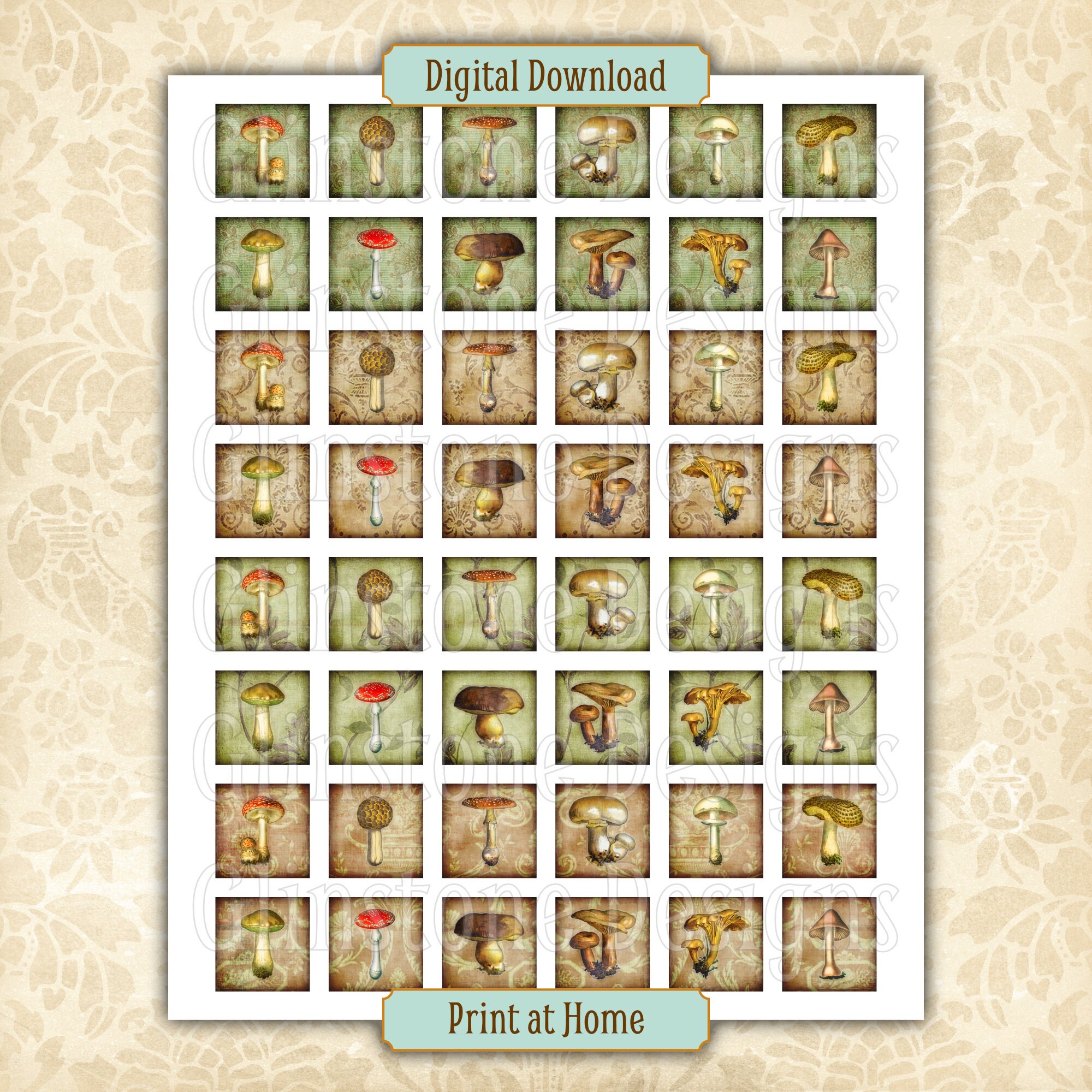 Printable 1x1 Inch Squares Collage Sheet, Mushrooms, Vintage ...