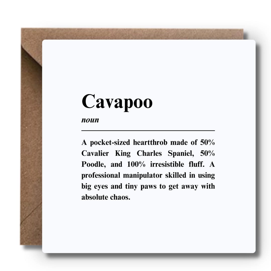 Funny Cavapoo Definition Card – Dog Lover Gift - Etsy UK