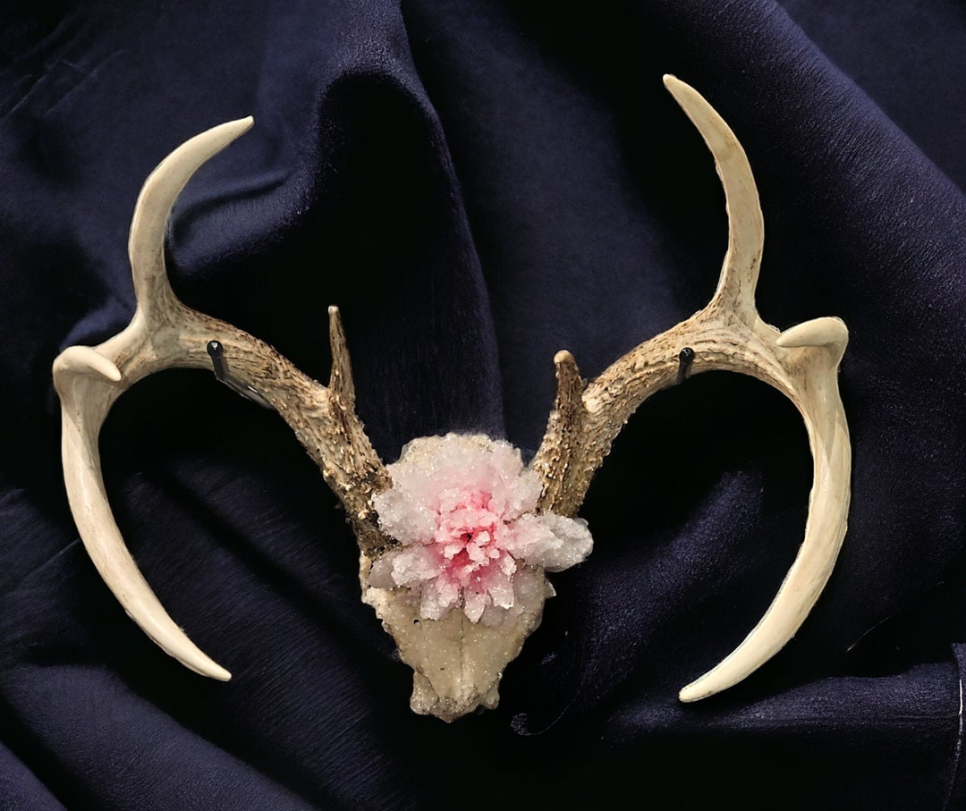 Crystalized 8 Point Partial Deer Skull - Etsy