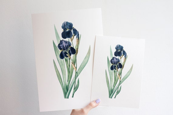 Art & Collectibles Prints Purple Iris printable Living room print ...
