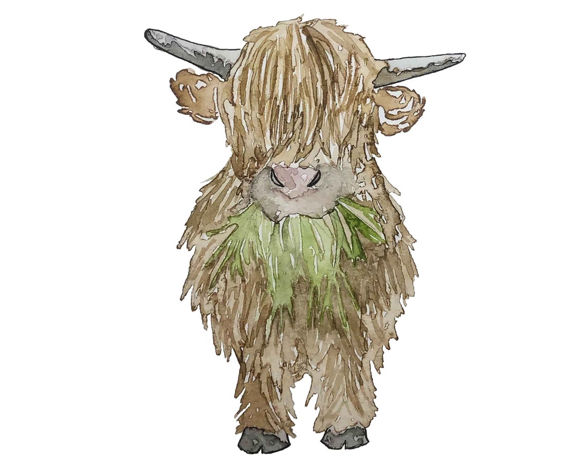 Baby Hairy Coo Watercolor Scottish Highland Cow Baby Animal - Etsy