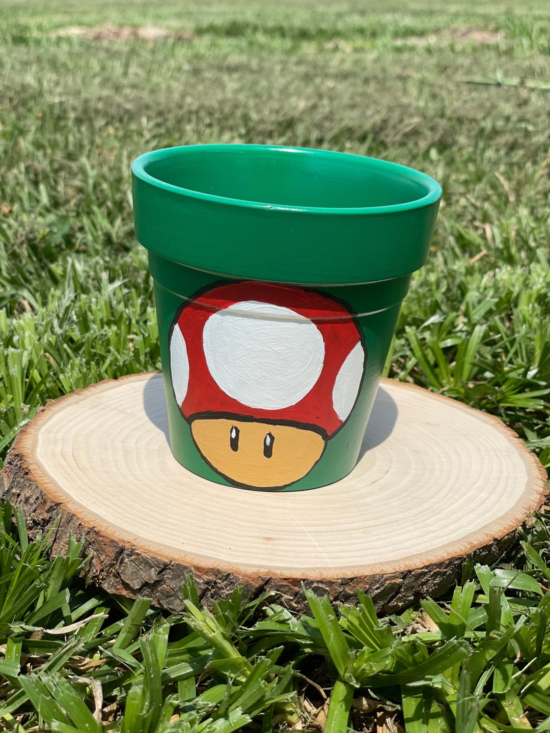 Mario Hand Painted Pot Set A Seed Packet of Your Choice - Etsy