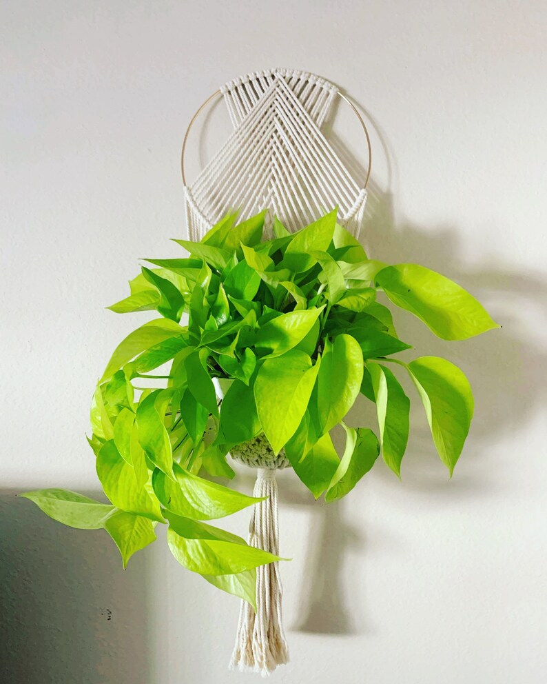 Macrame Ring Plant Hanger Wall Hanging - Etsy