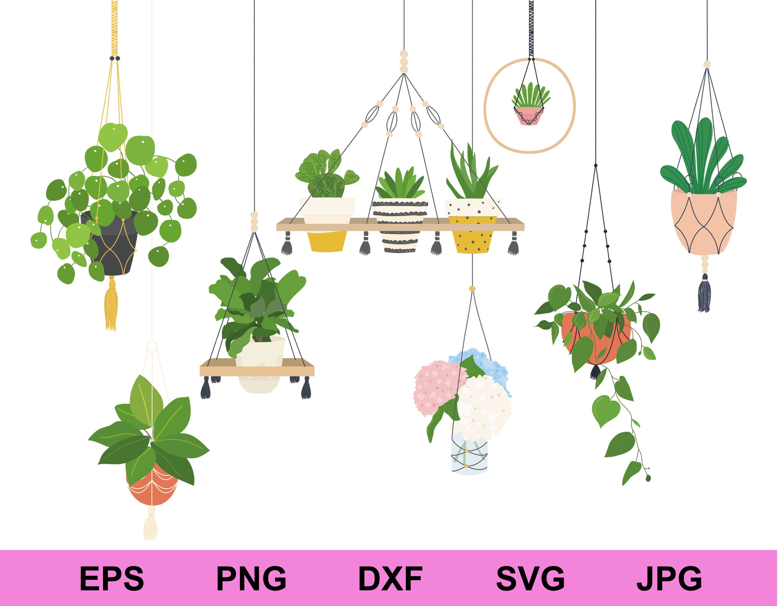 Home hanging plant potted design set of collection svg | Etsy