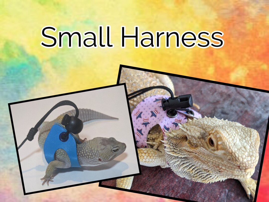 Small Bearded Dragon or Lizard Harness - Etsy