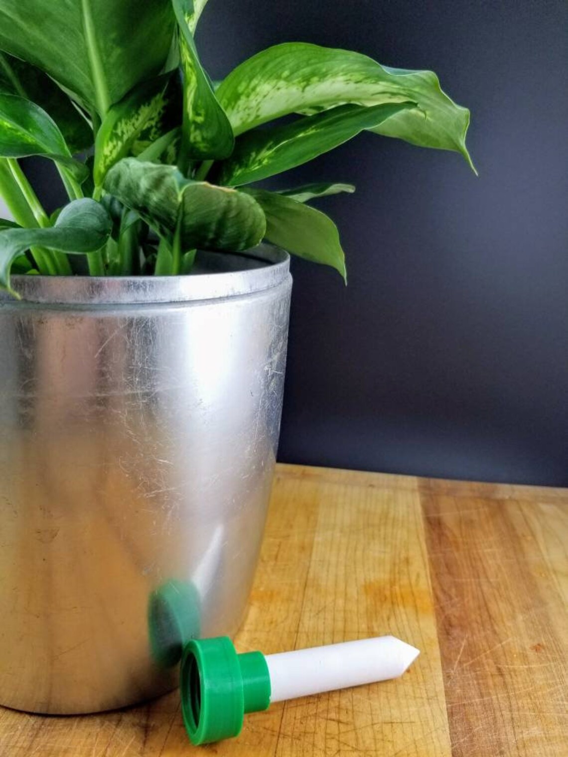 Plant Watering Spike Bottle Connector Use With Beverage | Etsy
