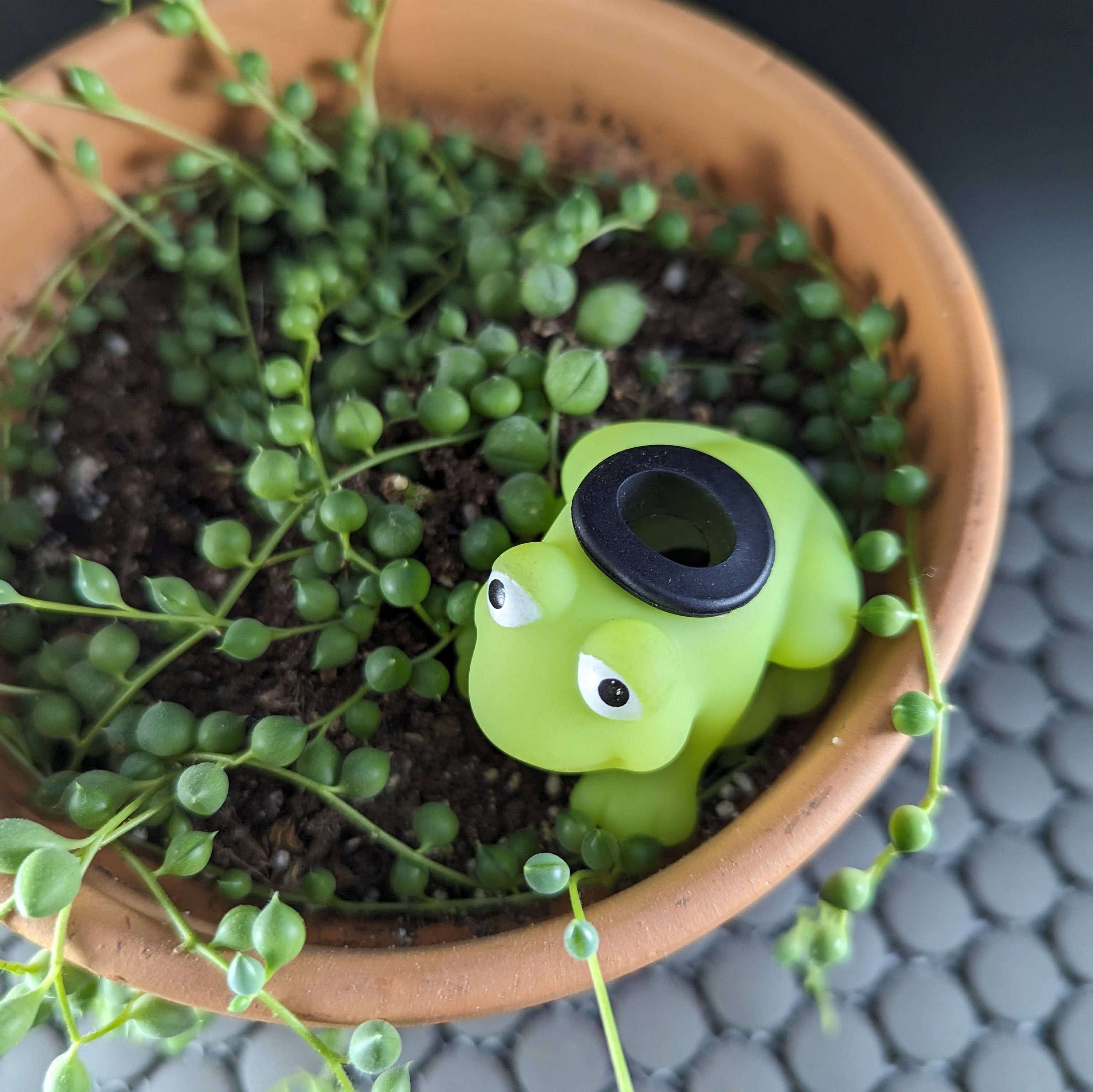Mini Light Green Frog Watering Spike - Etsy