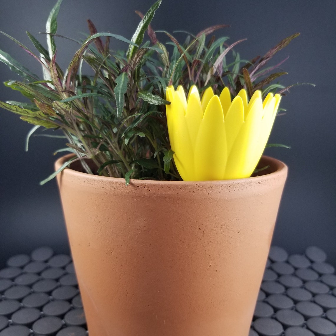 Yellow Mini Lily Flower Watering Spike - Etsy
