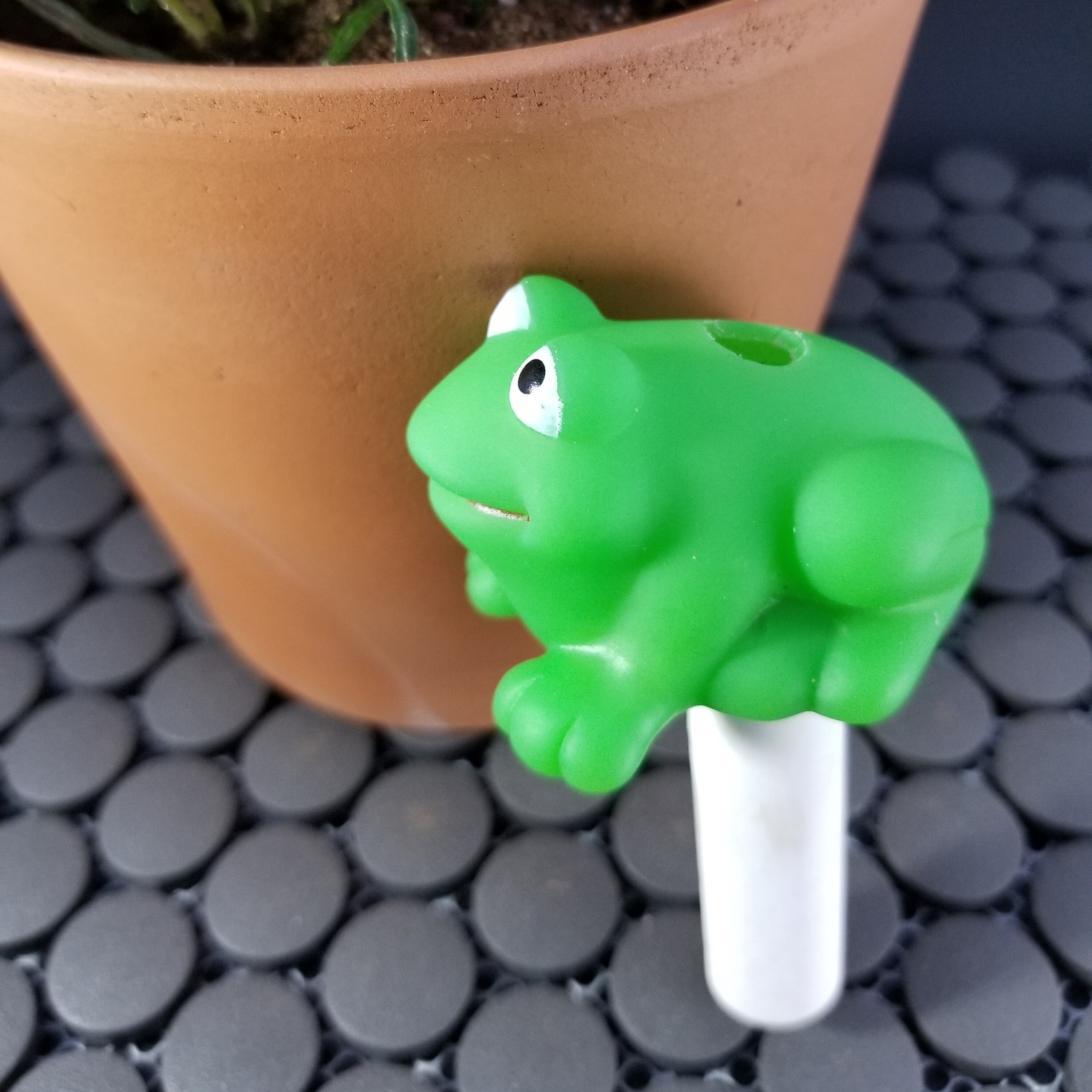 Mini Dark Green Frog Watering Spike - Etsy