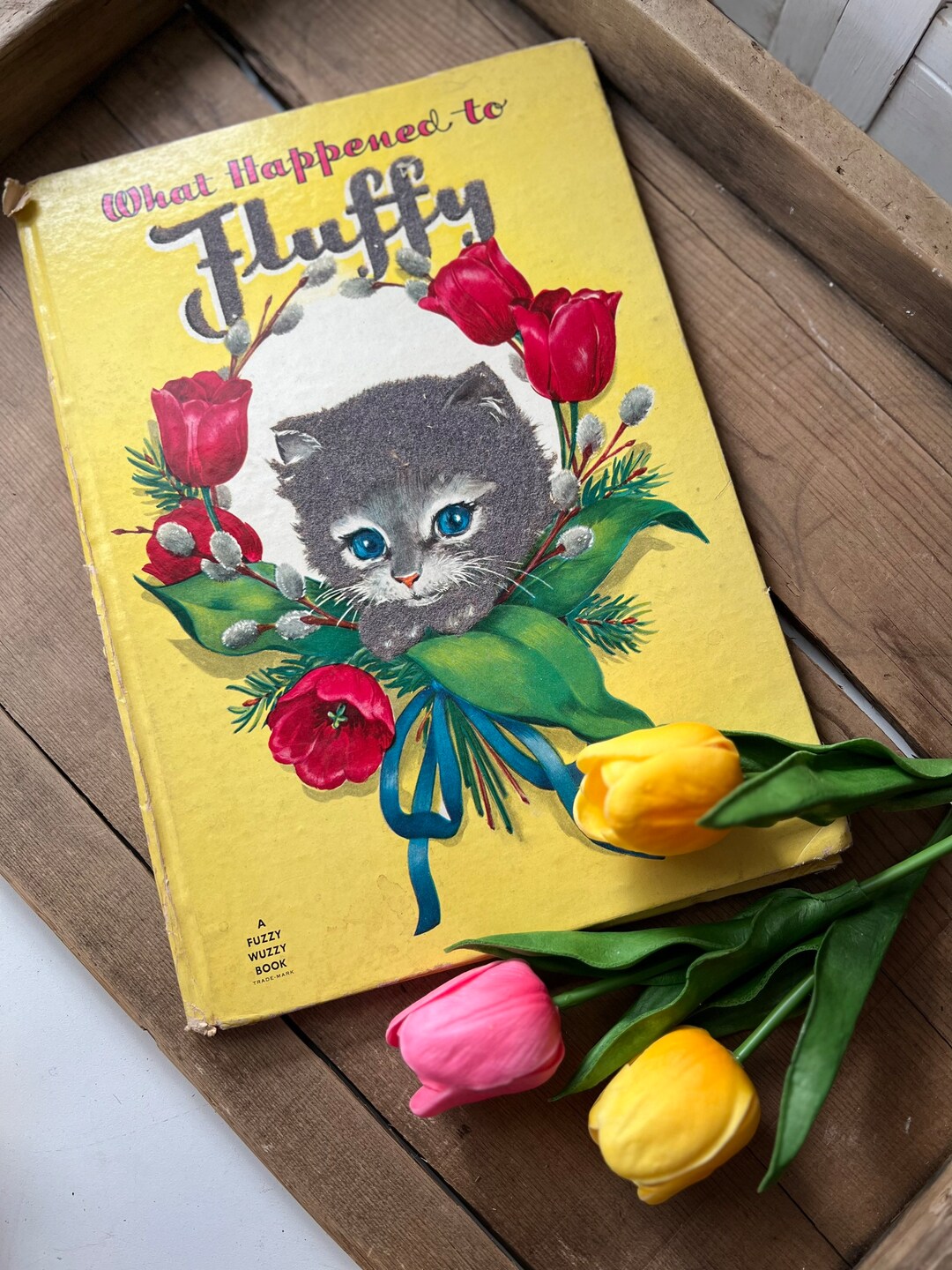 Vintage What Happened to Fluffy Book - Etsy