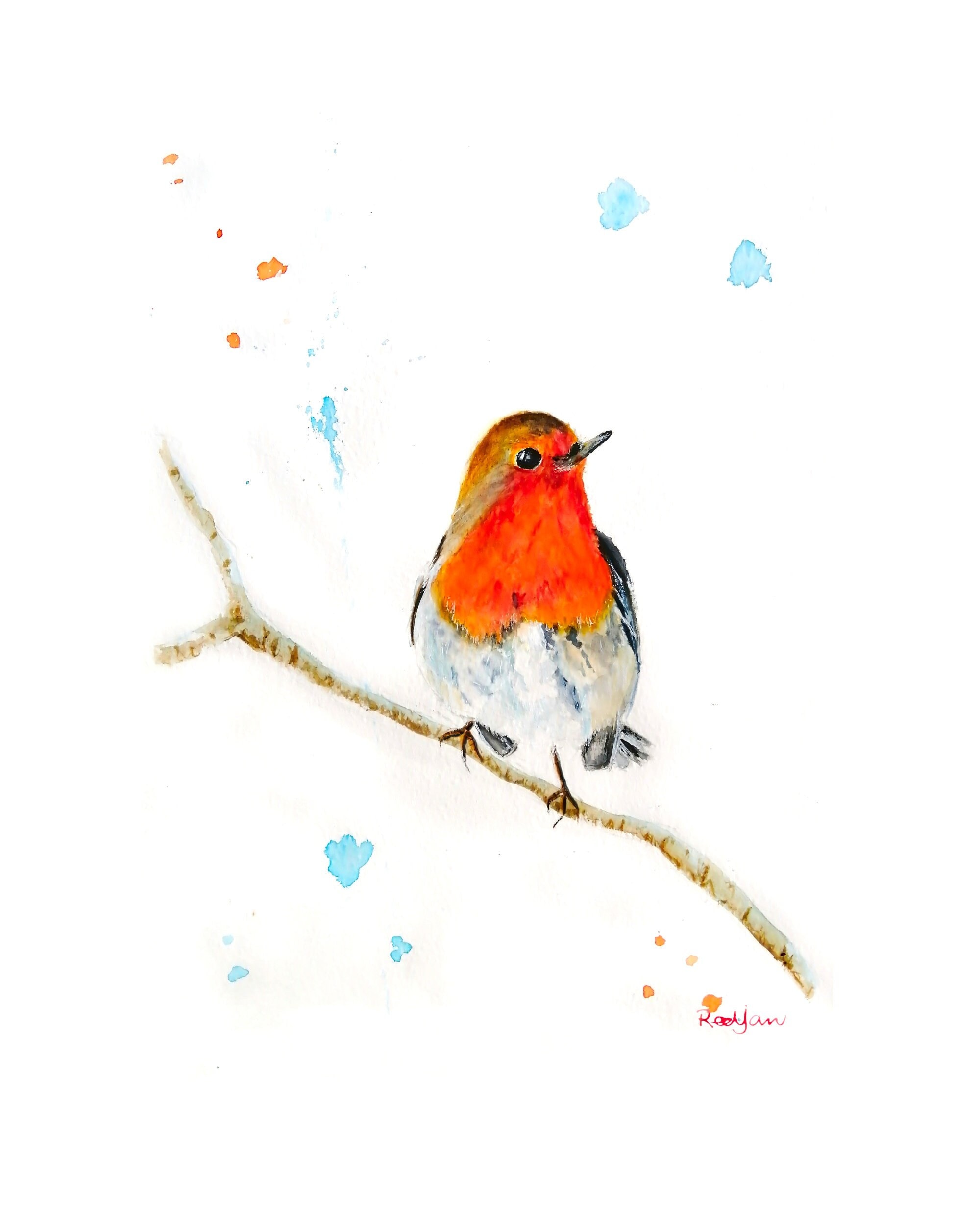 British Garden Birds Robin on A Branch, Watercolour Print of A Robin ...