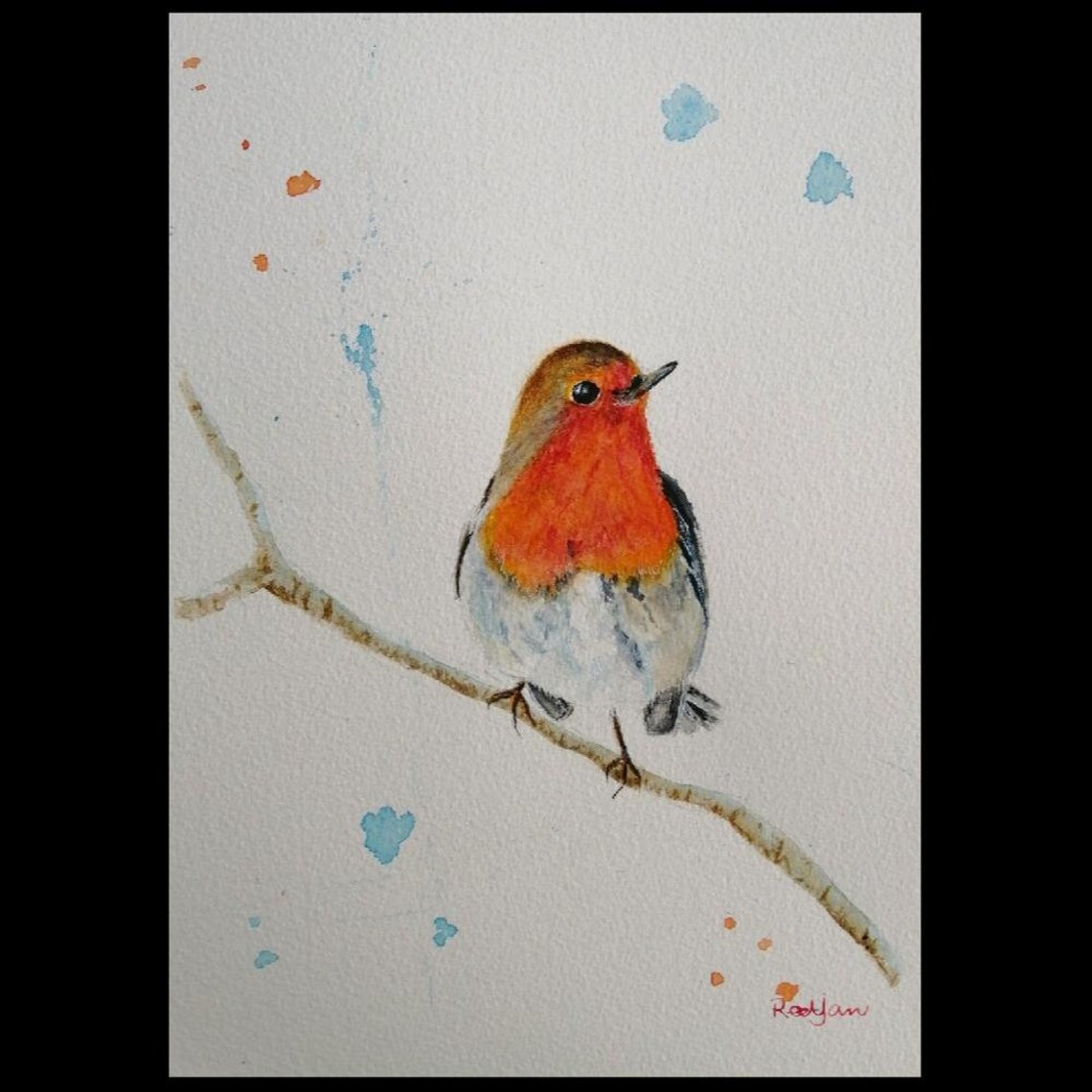 British Garden Birds Robin on A Branch, Watercolour Print of A Robin ...