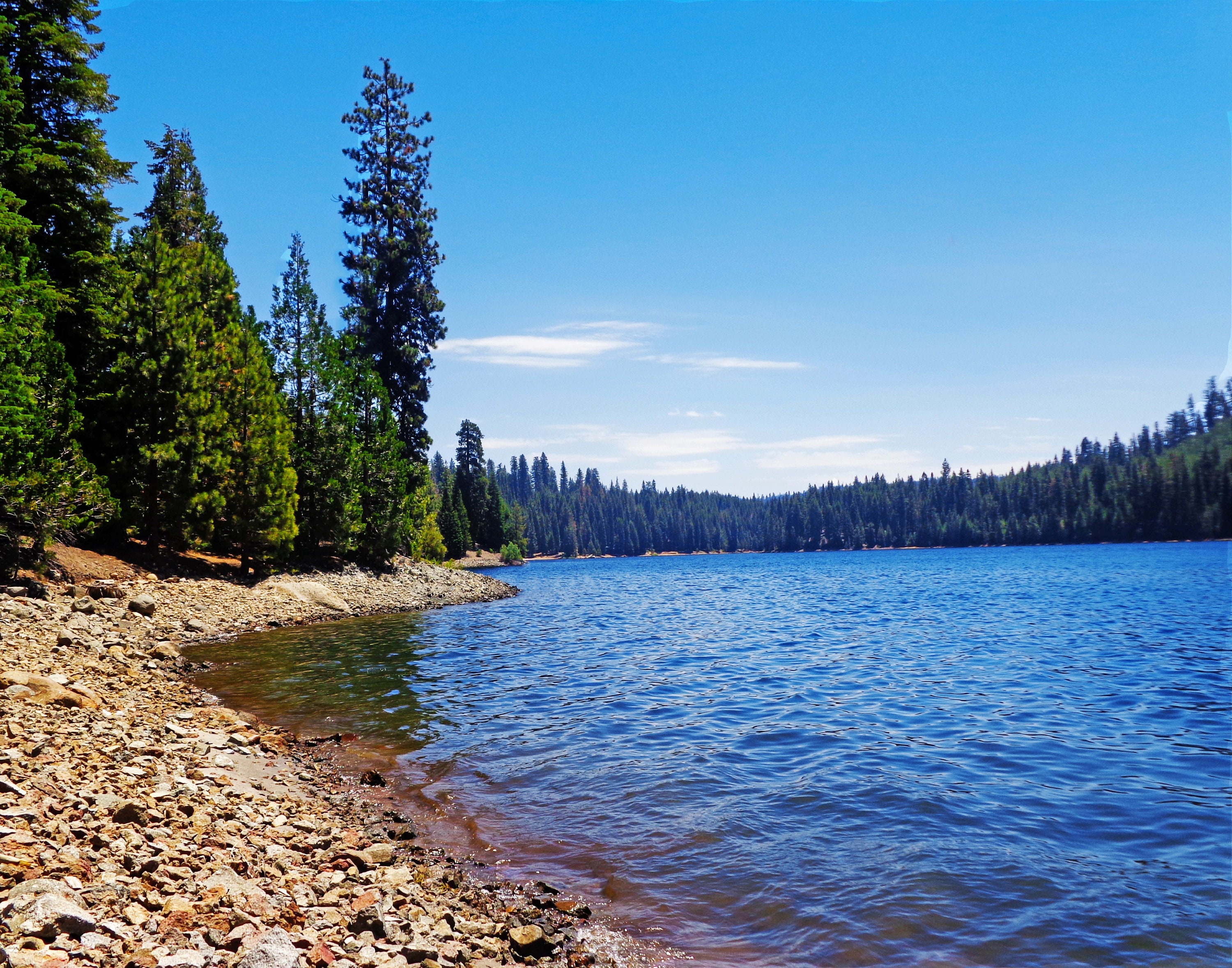 Lago, Agua, Orilla. Hermoso paisaje. Arte de la pared de la naturaleza ...