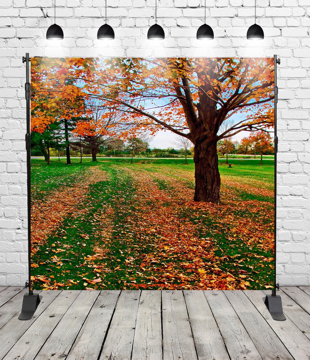 Autumn Maple Tree Leaves Photo Backdrops Booth Natural Scenery ...