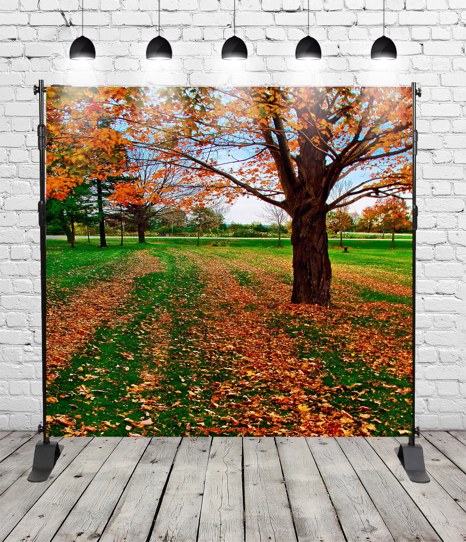 Autumn Maple Tree Leaves Photo Backdrops Booth Natural Scenery - Etsy