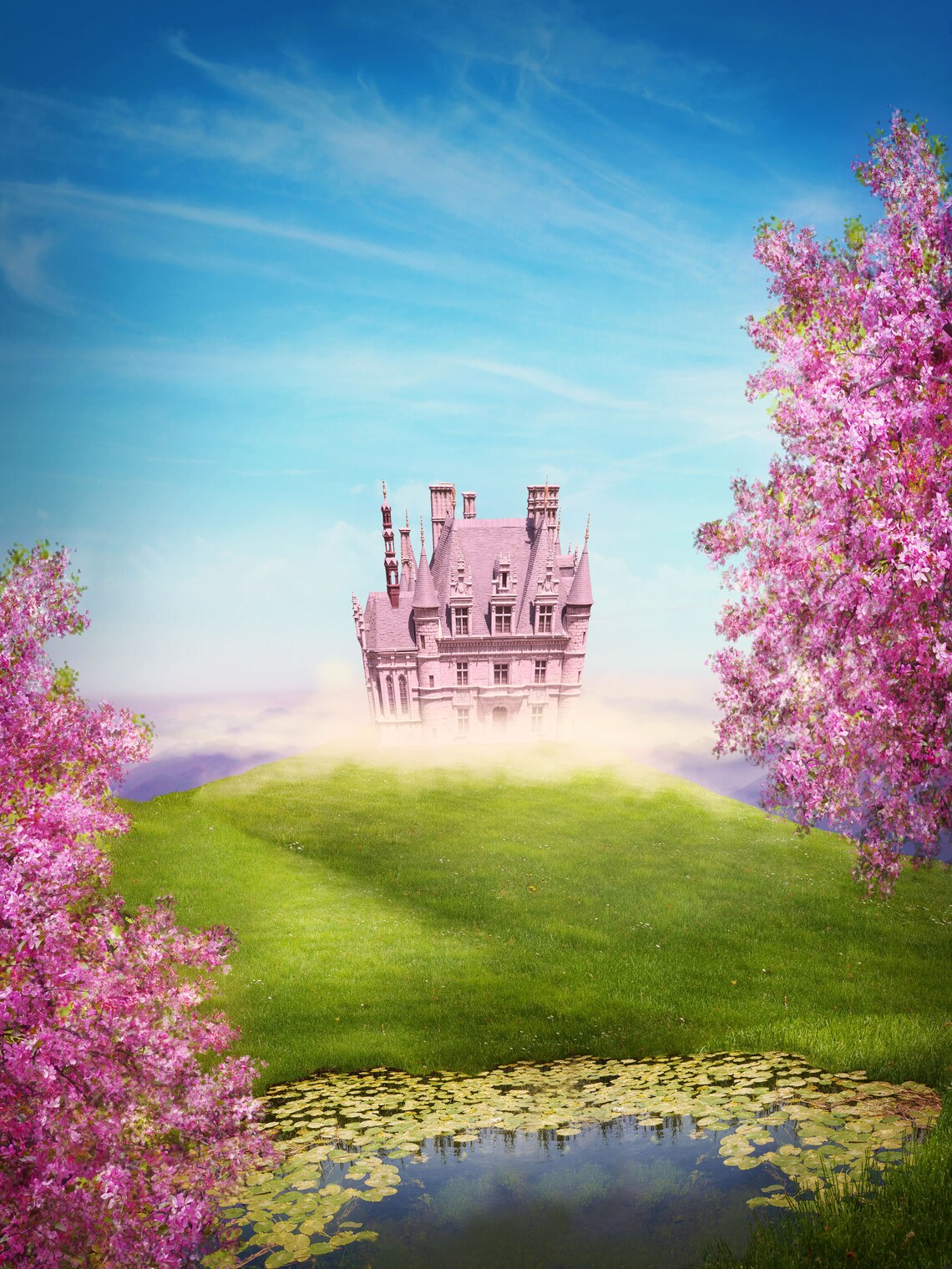 Fairy Tale Fantasy Castle Photo Backdrops Cherry Pink Flowers - Etsy
