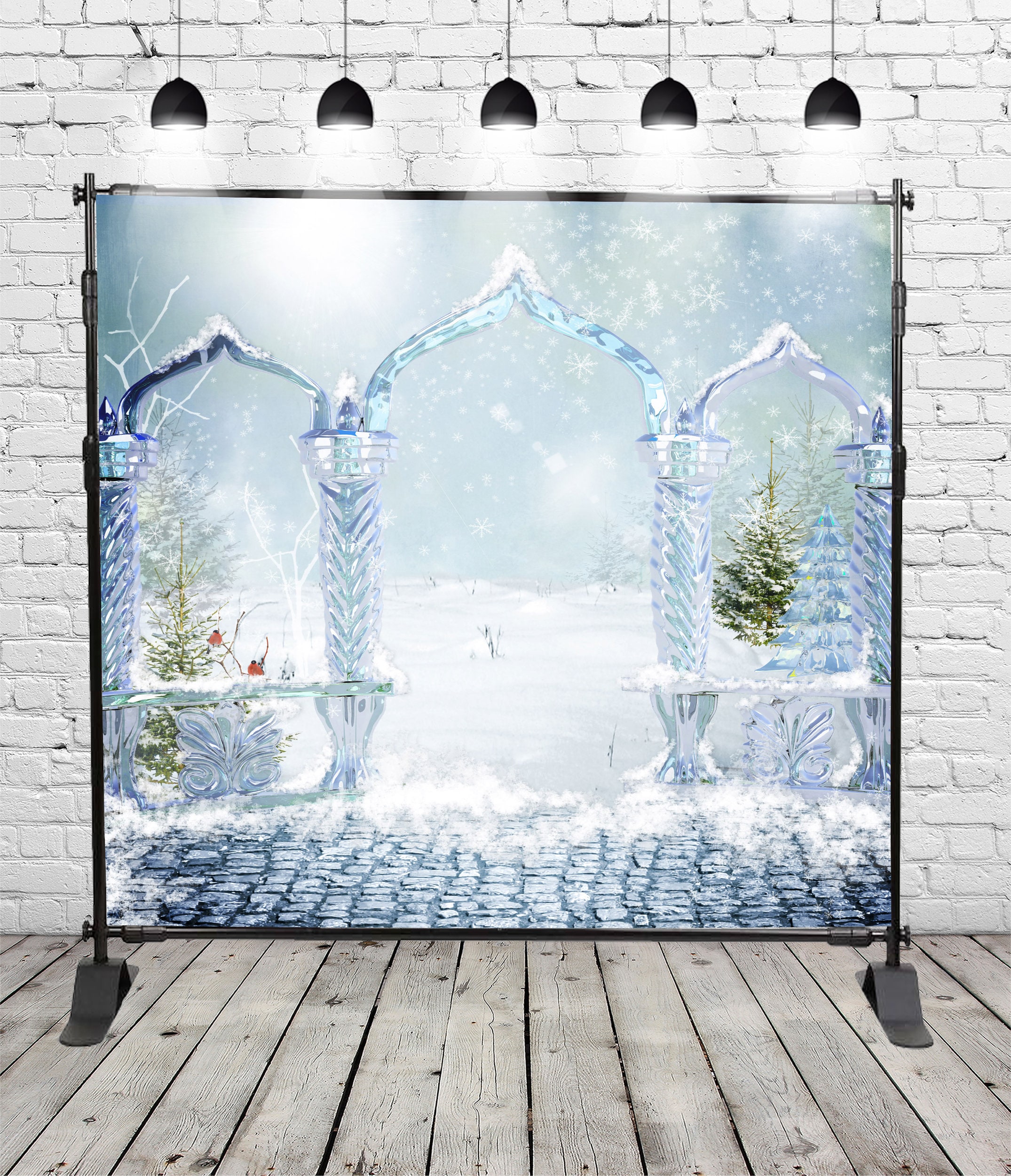 Frozen Snowflakes Children Birthday Photo Backdrops Booth Photography ...