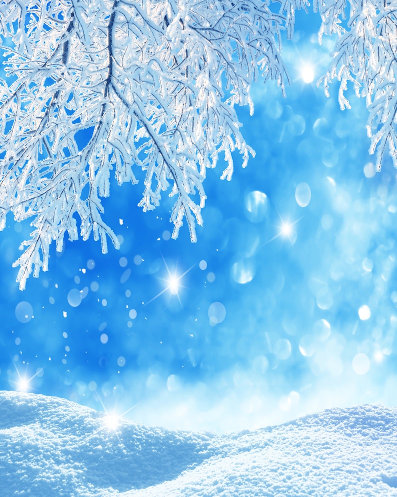 Winter Frozen Snow Branches Photo Backdrops Booth Christmas Photography ...